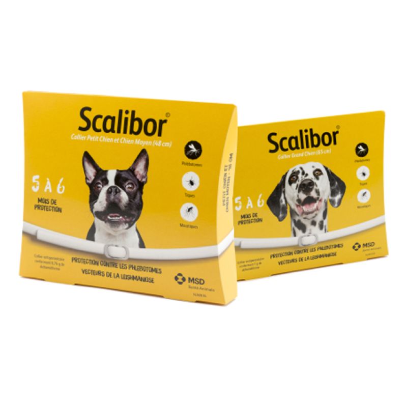 MSD - SCALIBOR Collier Anti Tiques 65cm Grand Chien - Prévention de la ...