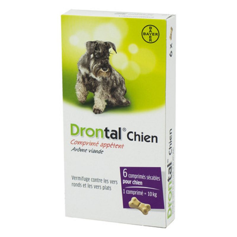 BAYER - DRONTAL Chien Bte/6 Comprimés - Vermifuge Chiens Verts Ronds et ...